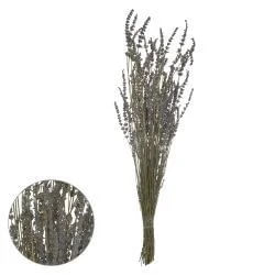 Lavanda desidratada c/essencia 70cmnatural